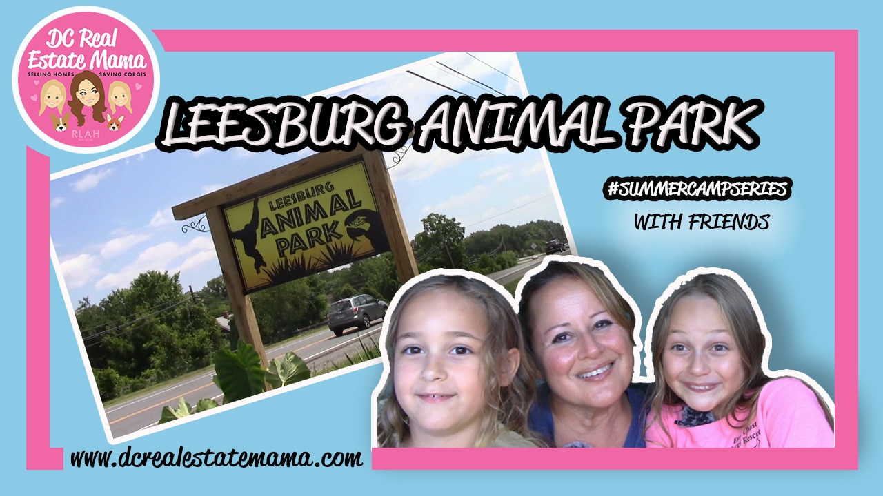 Leesburg Animal Park | When Is The Best Time To Visit Here?